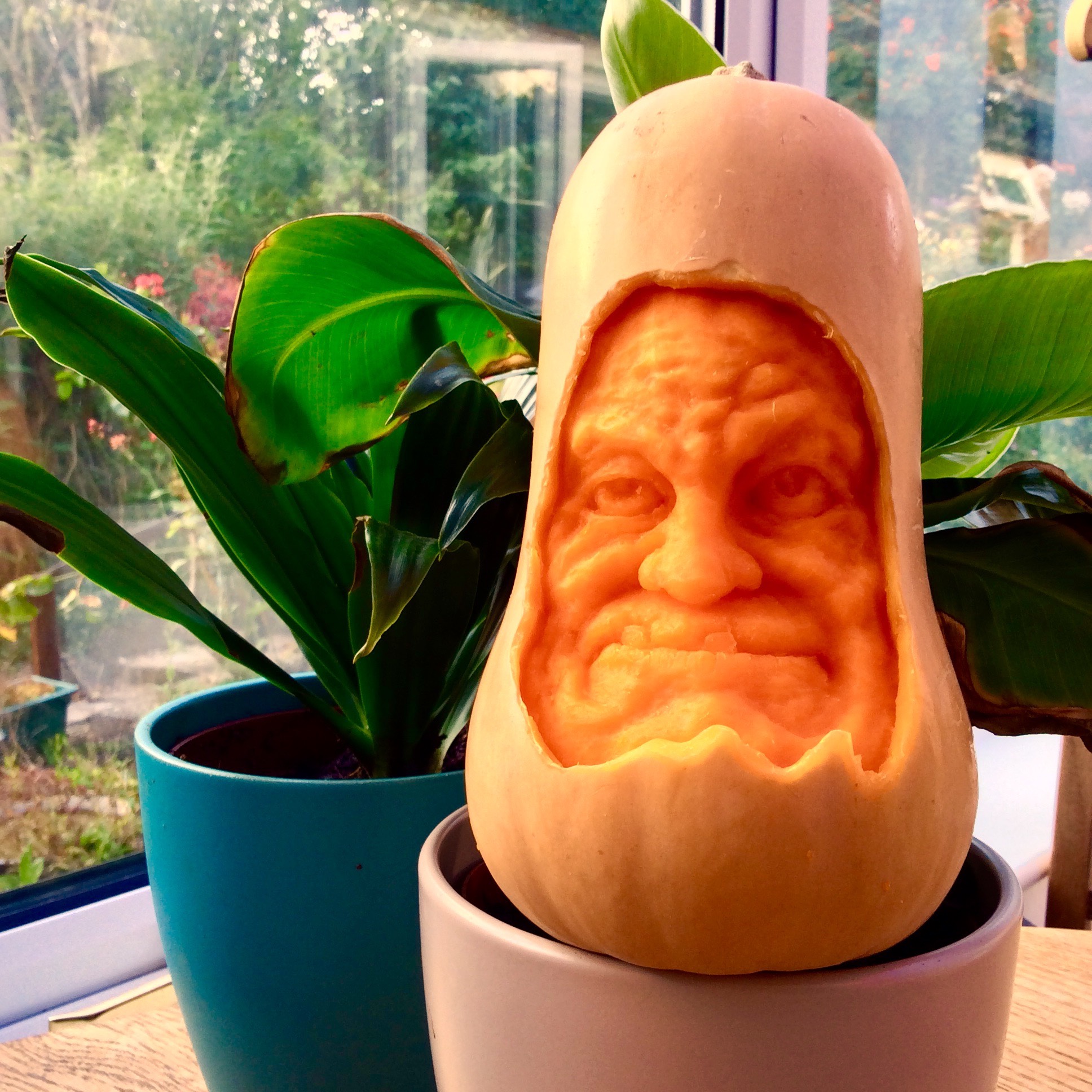 Chainsaw sculpting supremo to preside over the first ever Wales Pumpkin ...